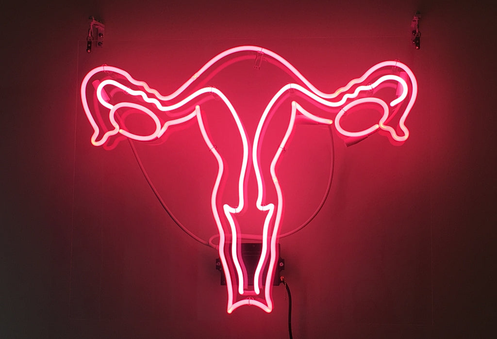 OBG(WHY)N: Understanding the Uterus – Dear Kate